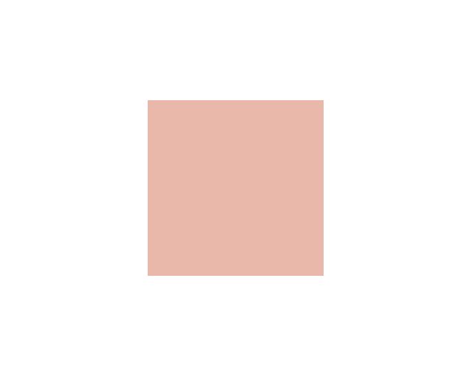 Roycroft Rose SW0034 Paint by Sherwin-Williams - modlar.com