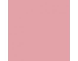 Salon Rose SW0061 Paint by Sherwin-Williams - modlar.com