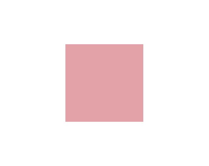 Salon Rose SW0061 Paint by Sherwin-Williams - modlar.com