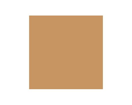 Smokey Topaz SW6117 Paint by Sherwin-Williams - modlar.com