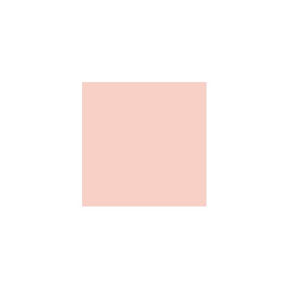 Smoky Salmon SW6331 Paint by Sherwin-Williams - modlar.com