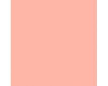 Sockeye SW6619 Paint by Sherwin-Williams - modlar.com