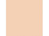 Sherwin Williams Soft Apricot