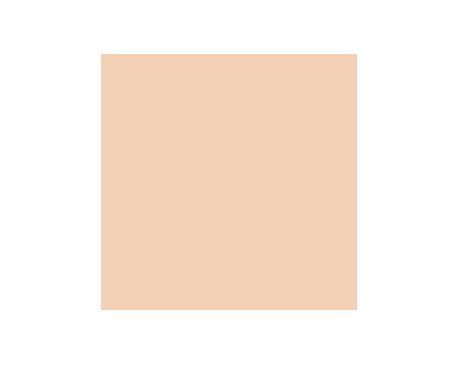 Soft Apricot SW6352 Paint by Sherwin-Williams - modlar.com