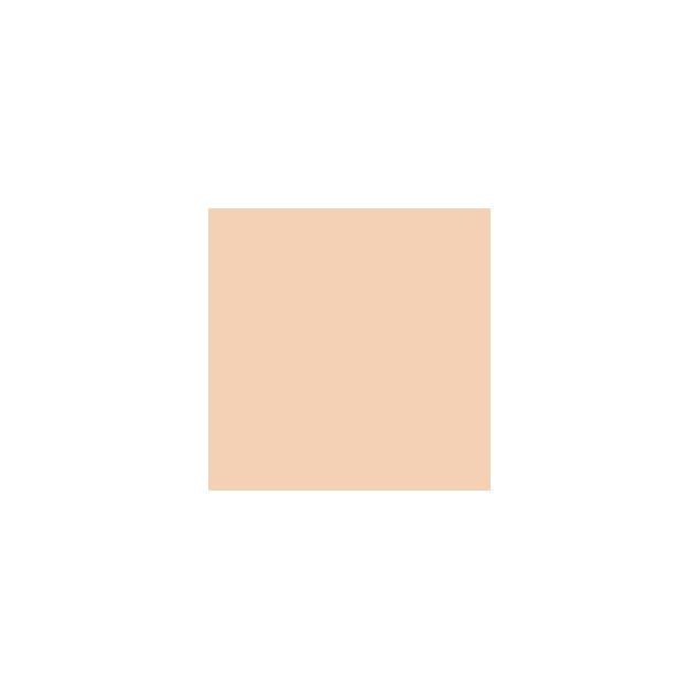 Soft Apricot SW6352 Paint by Sherwin-Williams - modlar.com