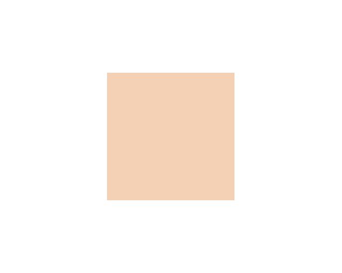 Soft Apricot SW6352 Paint by Sherwin-Williams - modlar.com