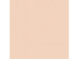 Sumptuous Peach SW6345 Paint by Sherwin-Williams - modlar.com