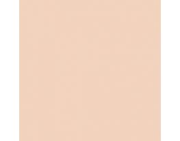 Sumptuous Peach SW6345 Paint by Sherwin-Williams - modlar.com