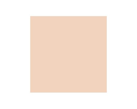 Sumptuous Peach SW6345 Paint by Sherwin-Williams - modlar.com