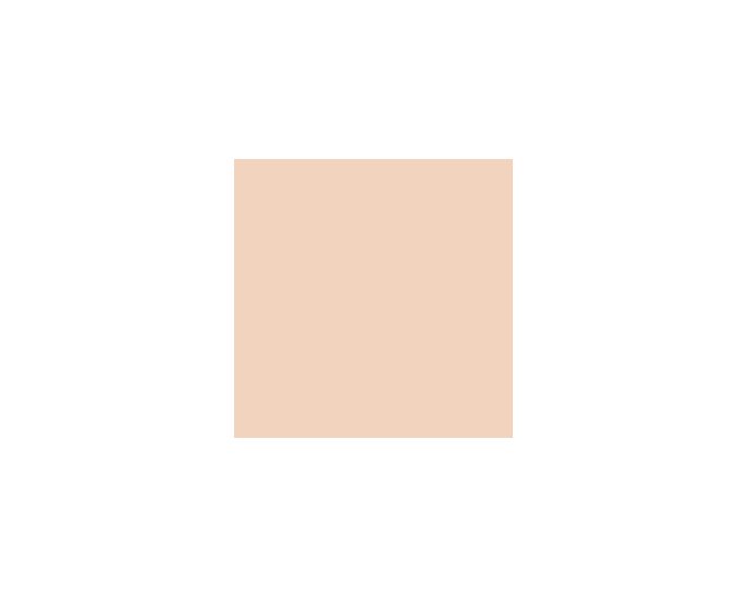 Sumptuous Peach SW6345 Paint by Sherwin-Williams - modlar.com