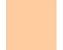 Tangerine SW6640 Paint by Sherwin-Williams - modlar.com