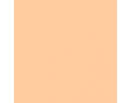 Tangerine SW6640 Paint by Sherwin-Williams - modlar.com