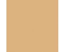 Tatami Tan SW6116 Paint by Sherwin-Williams - modlar.com