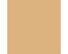 Tatami Tan SW6116 Paint by Sherwin-Williams - modlar.com