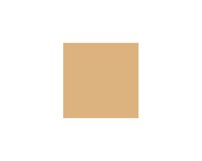 Tatami Tan SW6116 Paint by Sherwin-Williams - modlar.com