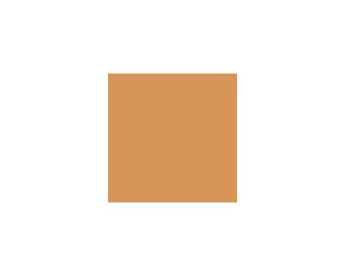 Tigereye SW6362 Paint by Sherwin-Williams - modlar.com