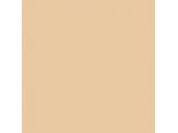 Totally Tan SW6115 Paint by Sherwin-Williams - modlar.com