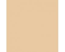 Totally Tan SW6115 Paint by Sherwin-Williams - modlar.com