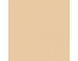 Totally Tan SW6115 Paint by Sherwin-Williams - modlar.com