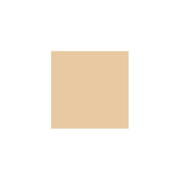 Totally Tan SW6115 Paint by Sherwin-Williams - modlar.com