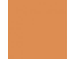 Truepenny SW6355 Paint by Sherwin-Williams - modlar.com