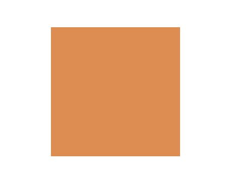 Truepenny SW6355 Paint by Sherwin-Williams - modlar.com