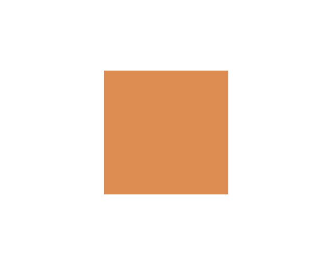 Truepenny SW6355 Paint by Sherwin-Williams - modlar.com