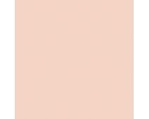 Warming Peach SW6338 Paint by Sherwin-Williams - modlar.com