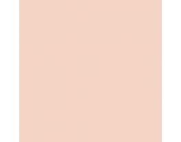 Warming Peach SW6338 Paint by Sherwin-Williams - modlar.com