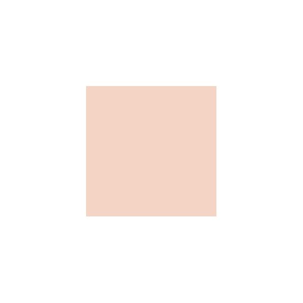 Warming Peach SW6338 Paint by Sherwin-Williams - modlar.com