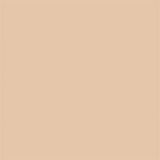 Wickerwork SW0010 Paint by Sherwin-Williams - modlar.com