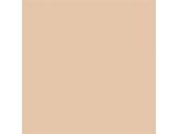 Wickerwork SW0010 Paint by Sherwin-Williams - modlar.com