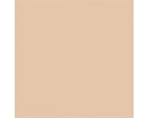 Wickerwork SW0010 Paint by Sherwin-Williams - modlar.com