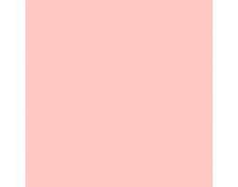 Youthful Coral SW6604 Paint by Sherwin-Williams - modlar.com