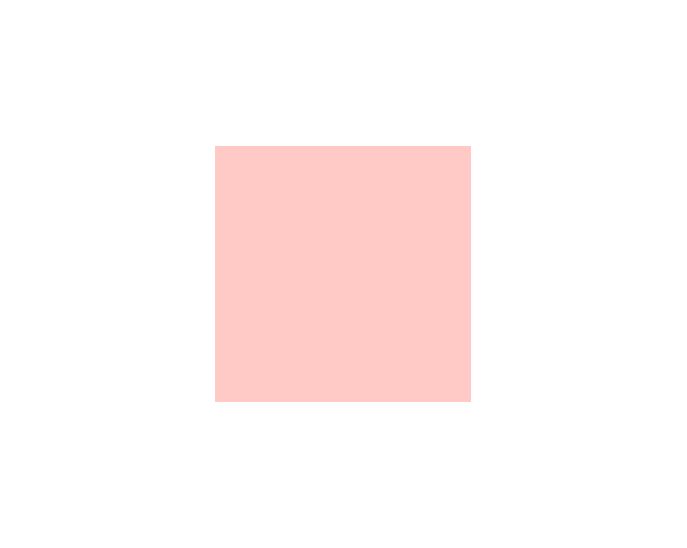 Youthful Coral SW6604 Paint by Sherwin-Williams - modlar.com