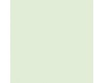 Bonsai Tint SW6436 Paint by Sherwin-Williams - modlar.com