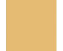 Bosc Pear SW6390 Paint by Sherwin-Williams - modlar.com