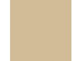 Burlap SW6137 Paint by Sherwin-Williams - modlar.com