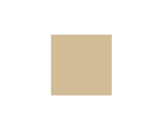 Burlap SW6137 Paint by Sherwin-Williams - modlar.com