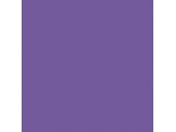 Fully Purple SW6983 Paint by Sherwin-Williams - modlar.com
