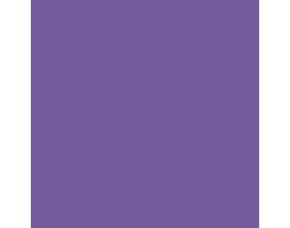 Fully Purple SW6983 Paint by Sherwin-Williams - modlar.com