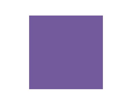 Fully Purple SW6983 Paint by Sherwin-Williams - modlar.com