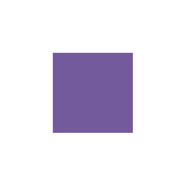 Fully Purple SW6983 Paint by Sherwin-Williams - modlar.com