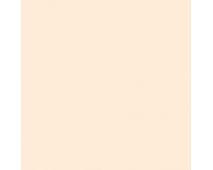 Caen Stone SW0028 Paint by Sherwin-Williams - modlar.com