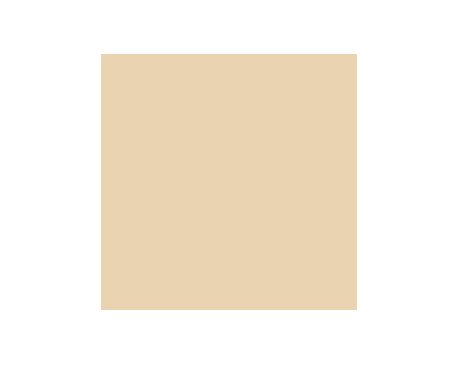 Camelback SW6122 Paint by Sherwin-Williams - modlar.com