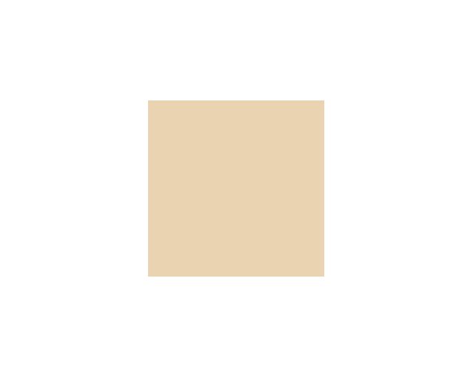 Camelback SW6122 Paint by Sherwin-Williams - modlar.com