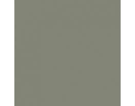 Cast Iron SW6202 Paint by Sherwin-Williams - modlar.com