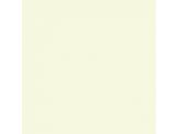 Celery SW6421 Paint by Sherwin-Williams - modlar.com