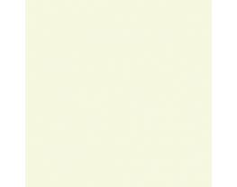 Celery SW6421 Paint by Sherwin-Williams - modlar.com