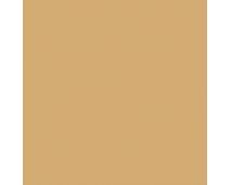 Chamois SW6131 Paint by Sherwin-Williams - modlar.com
